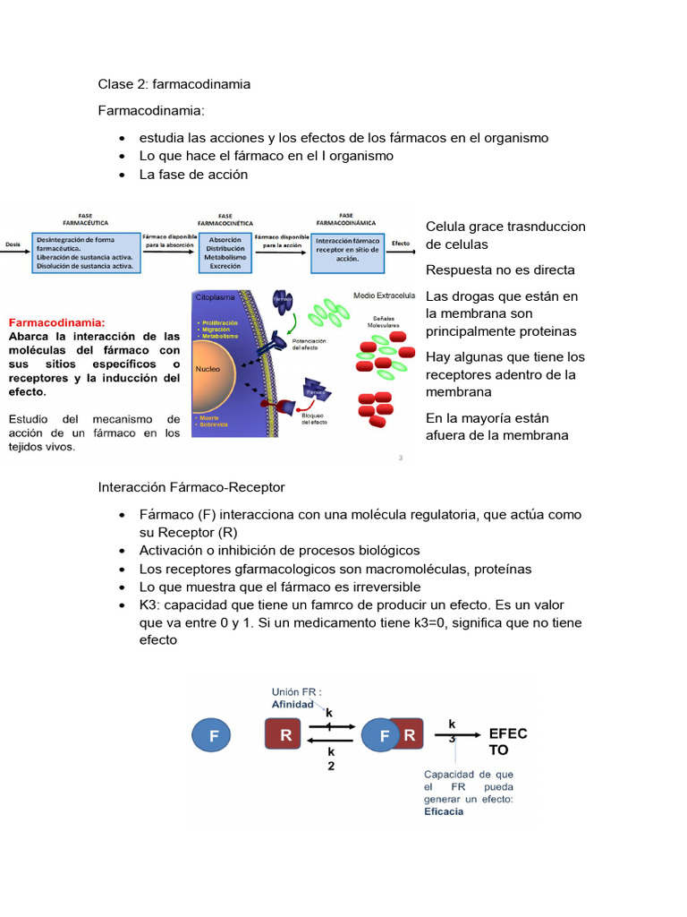 Clase 2 FÃ¡Rmaco Listo | PDF