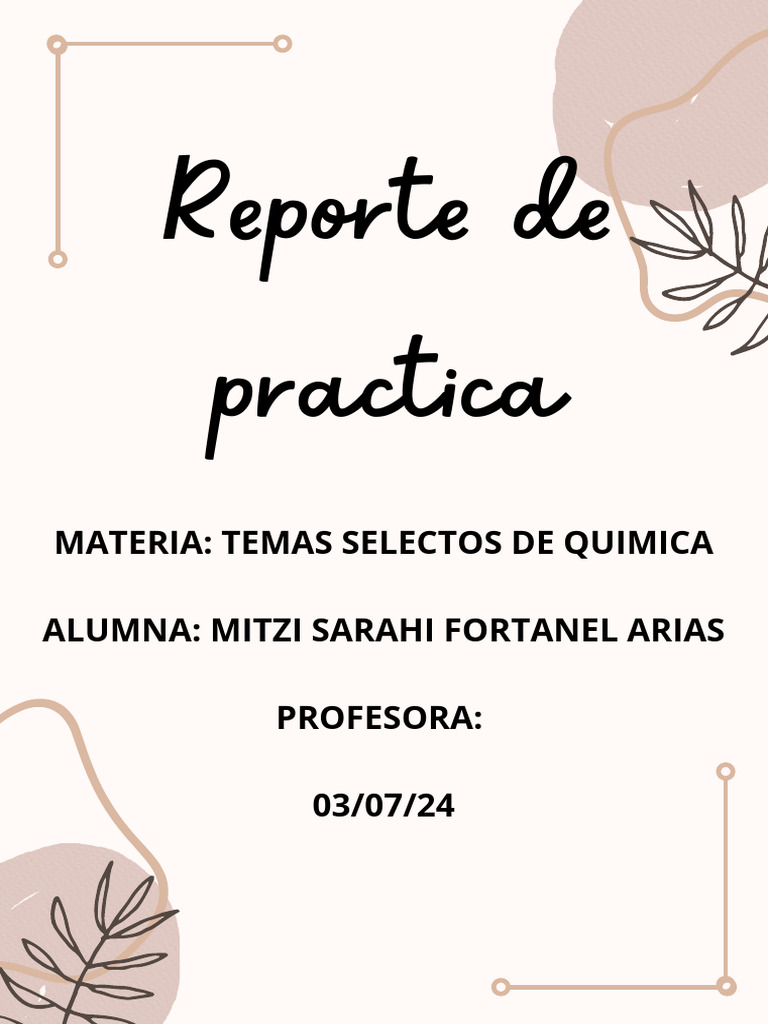 Reporte de Practica 2-1 | PDF
