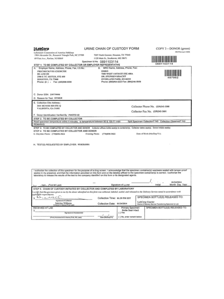 Drug Screen | PDF