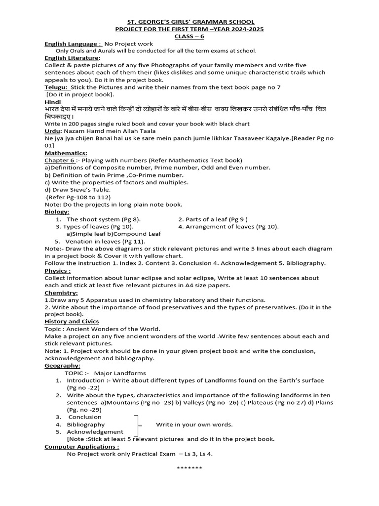 1ST Term Project Class 6 2024-2025-1 | PDF