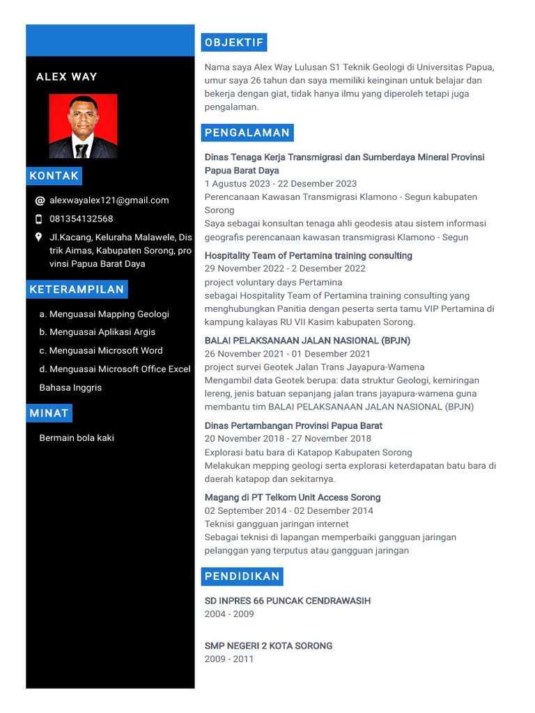 Contoh Format CV | PDF