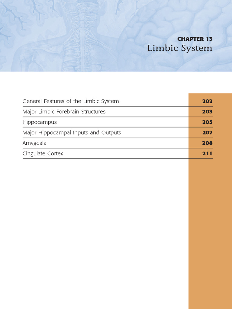 Netter'SConcise Neuroanatomy Updated Edition - 1st Edition Export | PDF