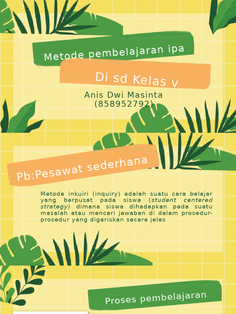 Ipa M3 - Anis - 3.33 - 3.40 | PDF