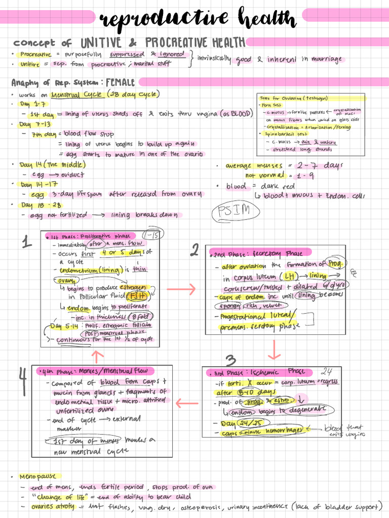 Reproductive Health and Sexual Development | PDF | Menstrual Cycle | Ploidy