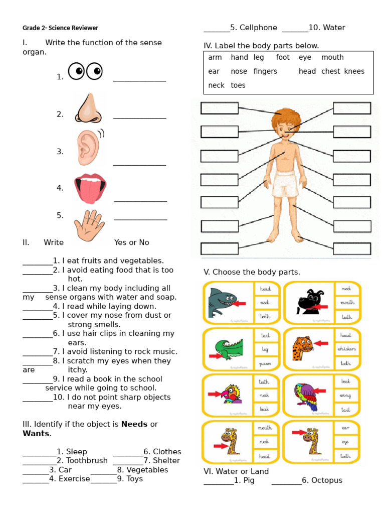 2ndPE-Grade 2 - Sci and Health Reviewer | PDF