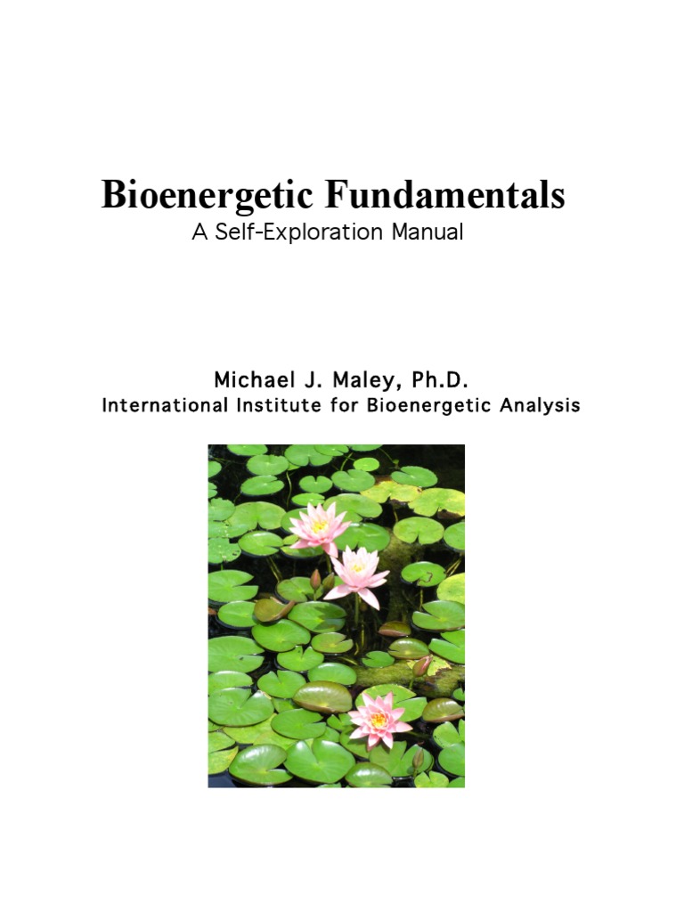 Bioenergetic Fundamentals | PDF