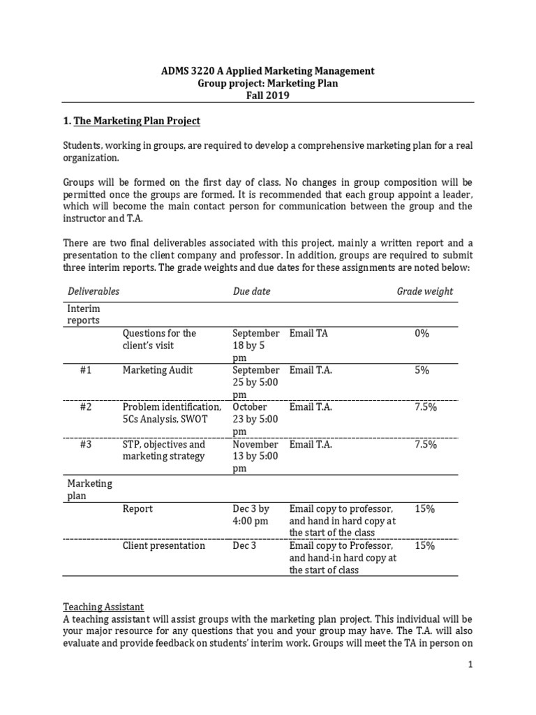 York University Marketing Plan Project - ADMS 3220 Fall 2019 | PDF ...