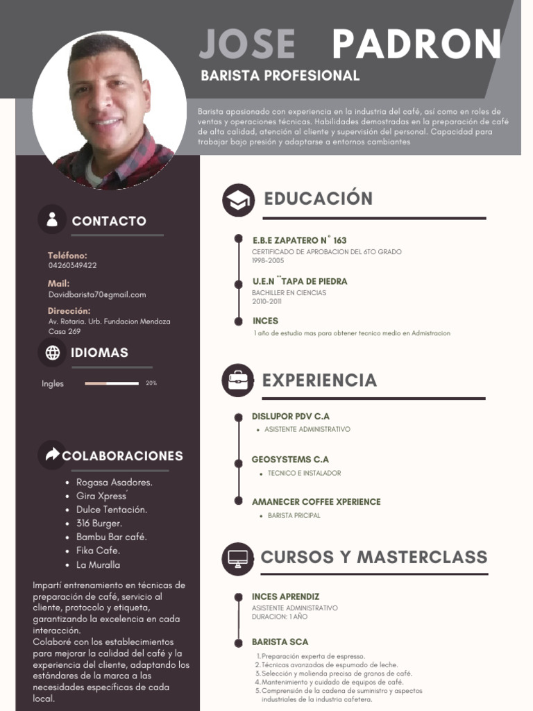 CV ORIGINAL JOSE DAVID | PDF