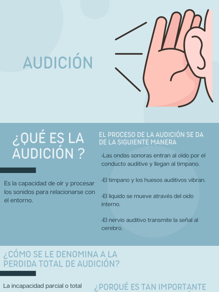 Audición | PDF