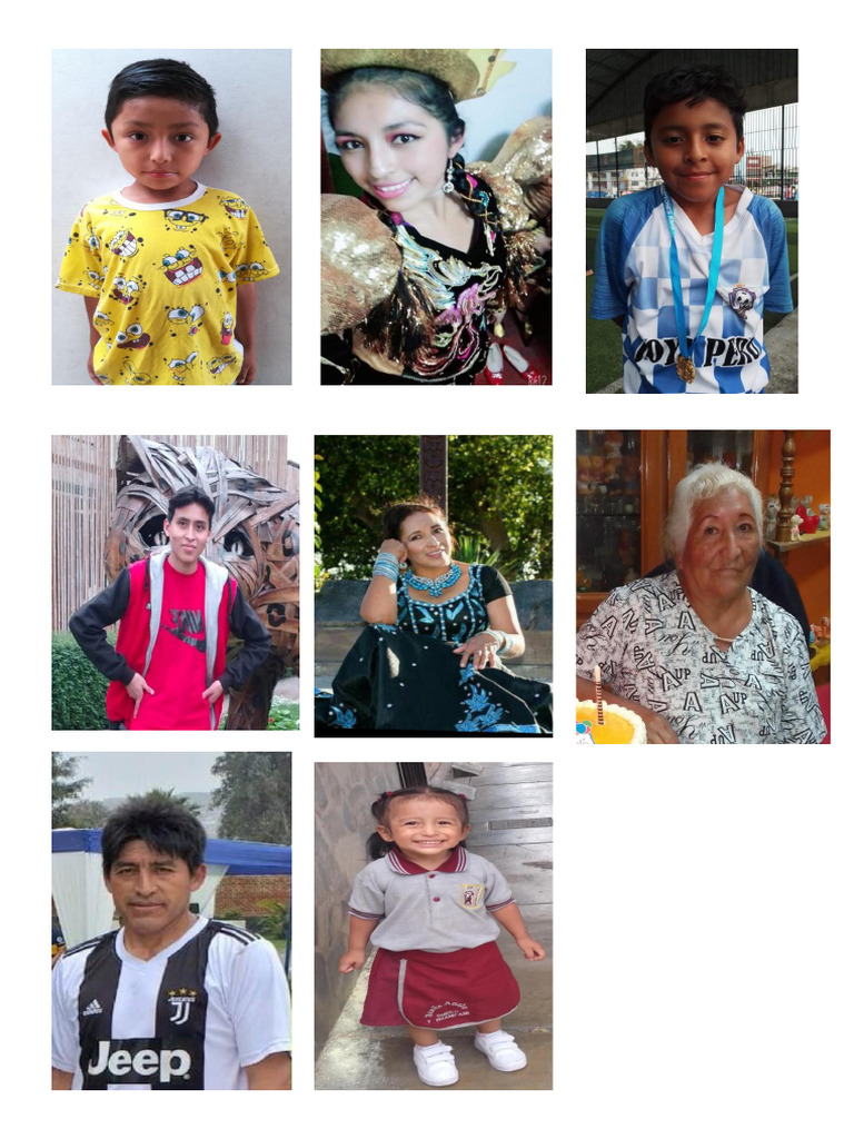 Documento (1) (3) | PDF