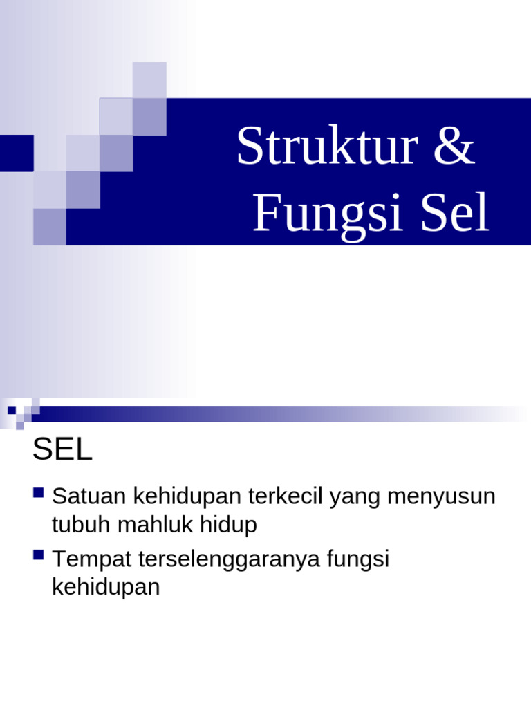 1 Sel | PDF