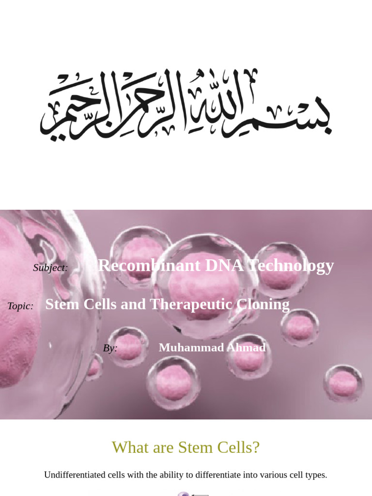 Stem Cells And Therapeutic Cloning 1 Pdf