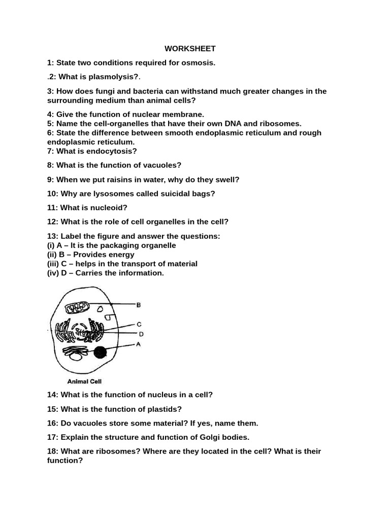 Ix Worksheet | PDF