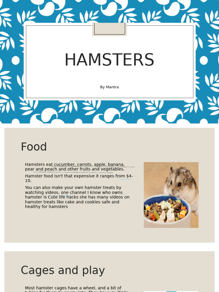 Hamster | PDF