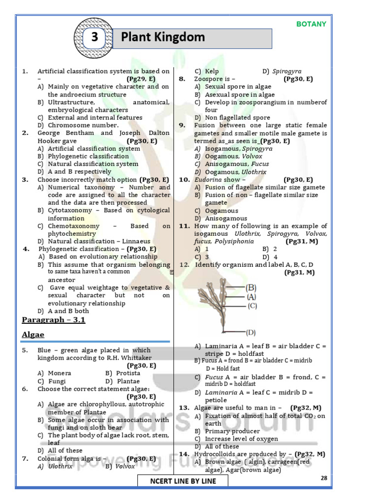 Chap. 3 - PLANT KINGDOM Final | PDF