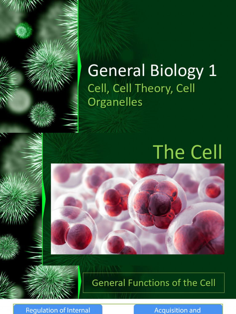 Cell Theory and Organelle Functions | PDF | Cell Membrane | Endoplasmic ...