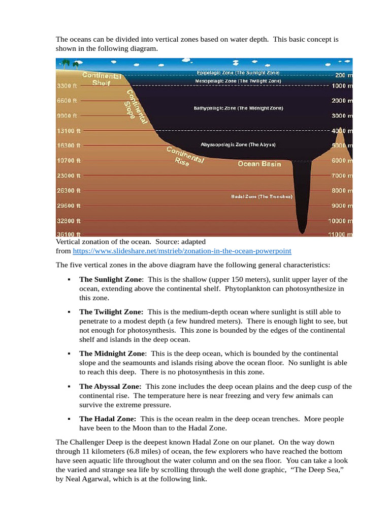 The Oceans Can Be Divided Into Vertical Zones Based On Water Depth | PDF