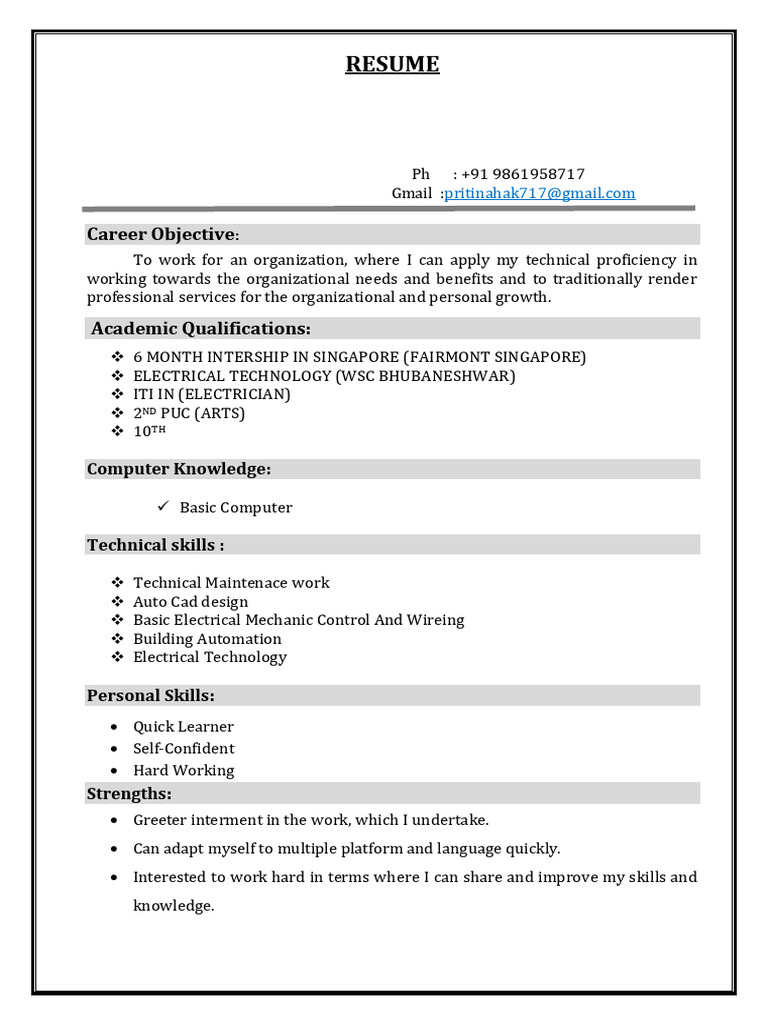 Standard CV Format | PDF