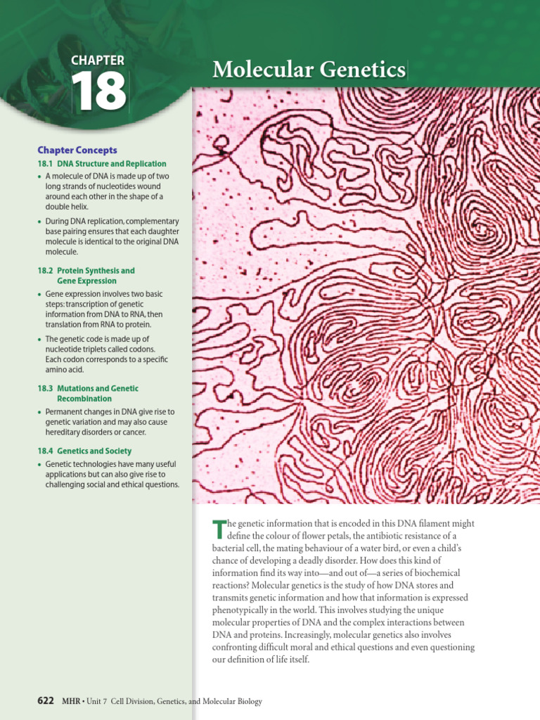 18 InquiryBio ch18 | PDF