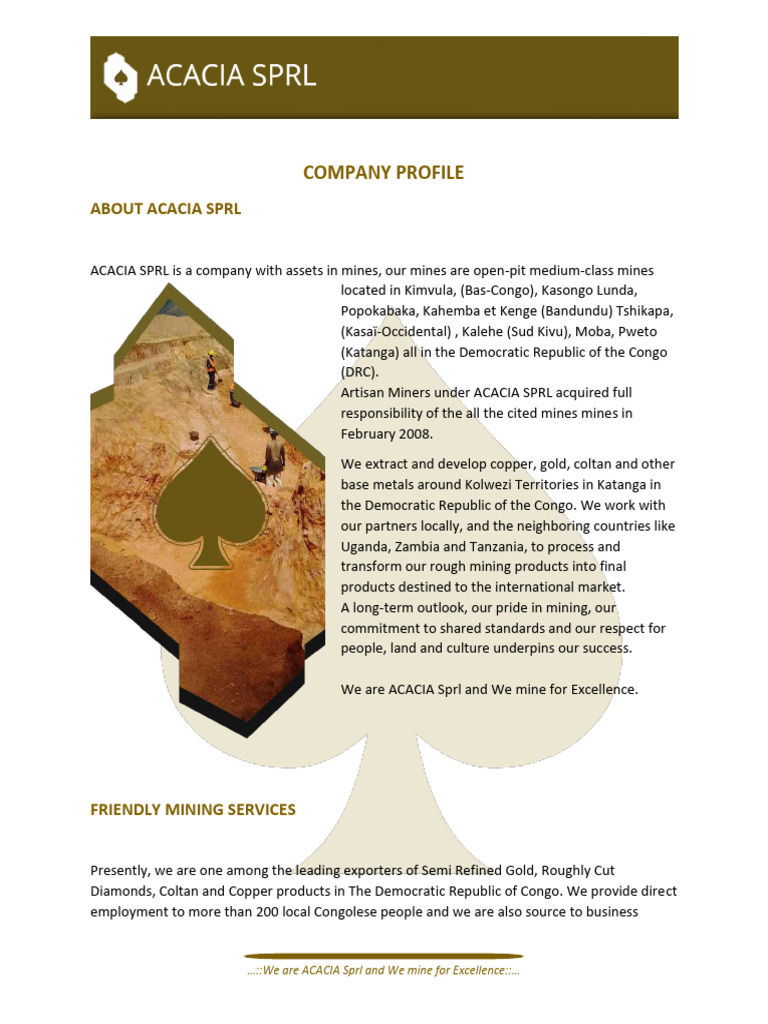 Corporate Profile | PDF