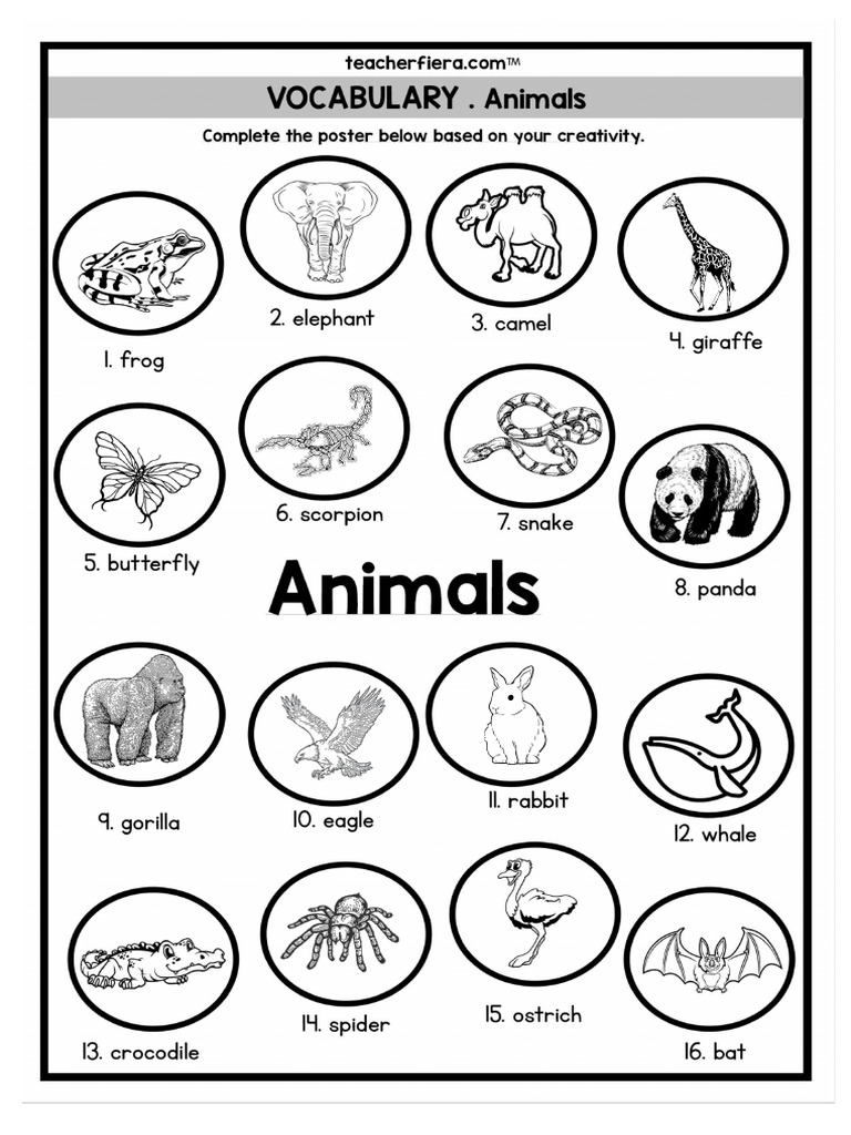 Animals | PDF