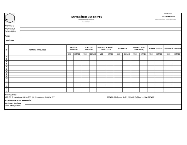 4 - Registro de Inspección de Uso de Epps | PDF