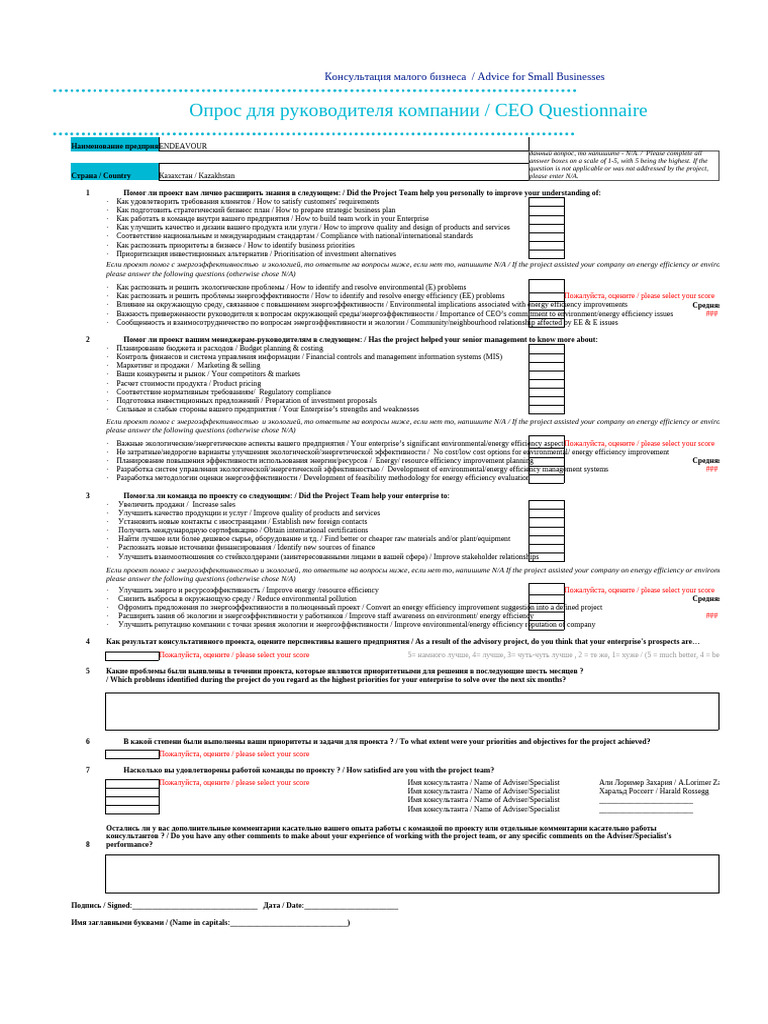 CEO Questionnaire ENDEAVOUR Copy | PDF