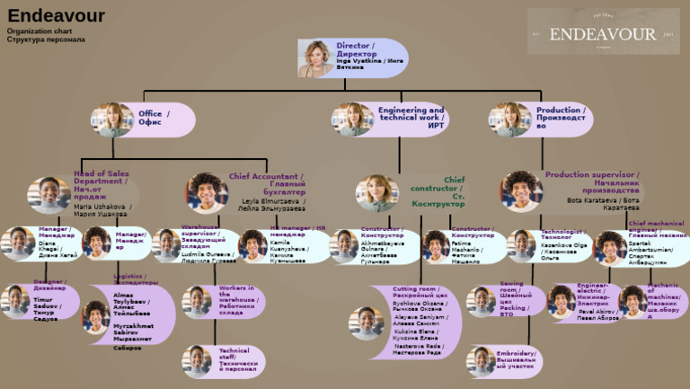Структура Персонала Endeavour Org Chart | PDF