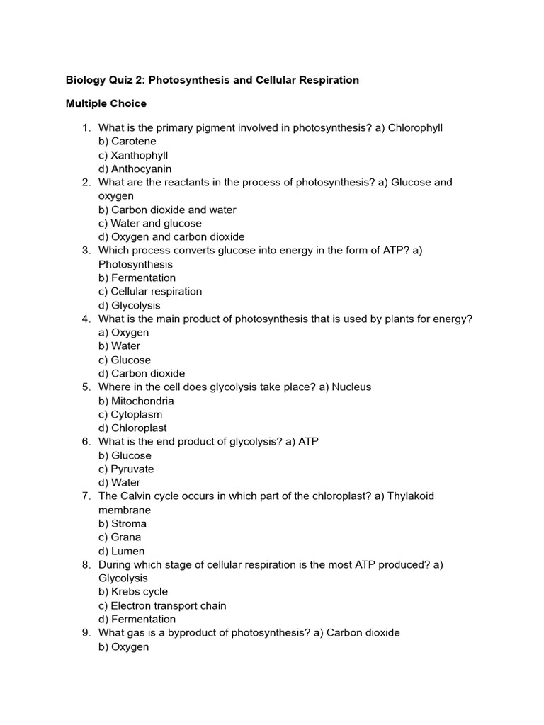 Biology Quiz 2 - Photosynthesis and Cellular Respiration | PDF