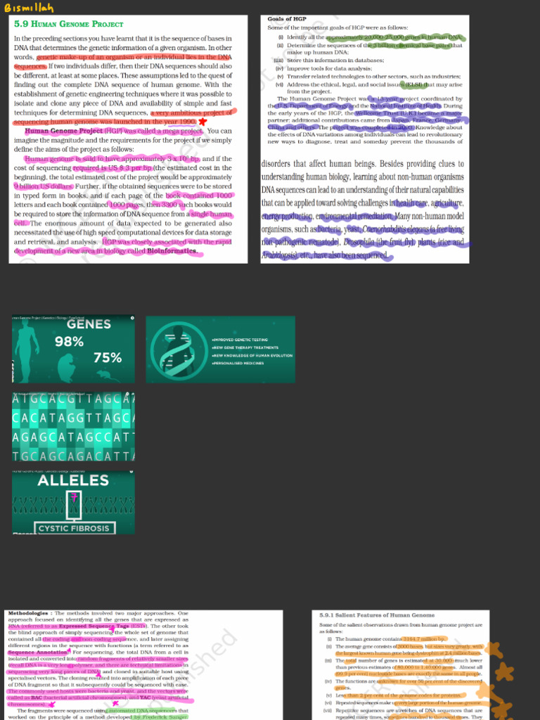 Human Genome Project Ncert Revision | PDF