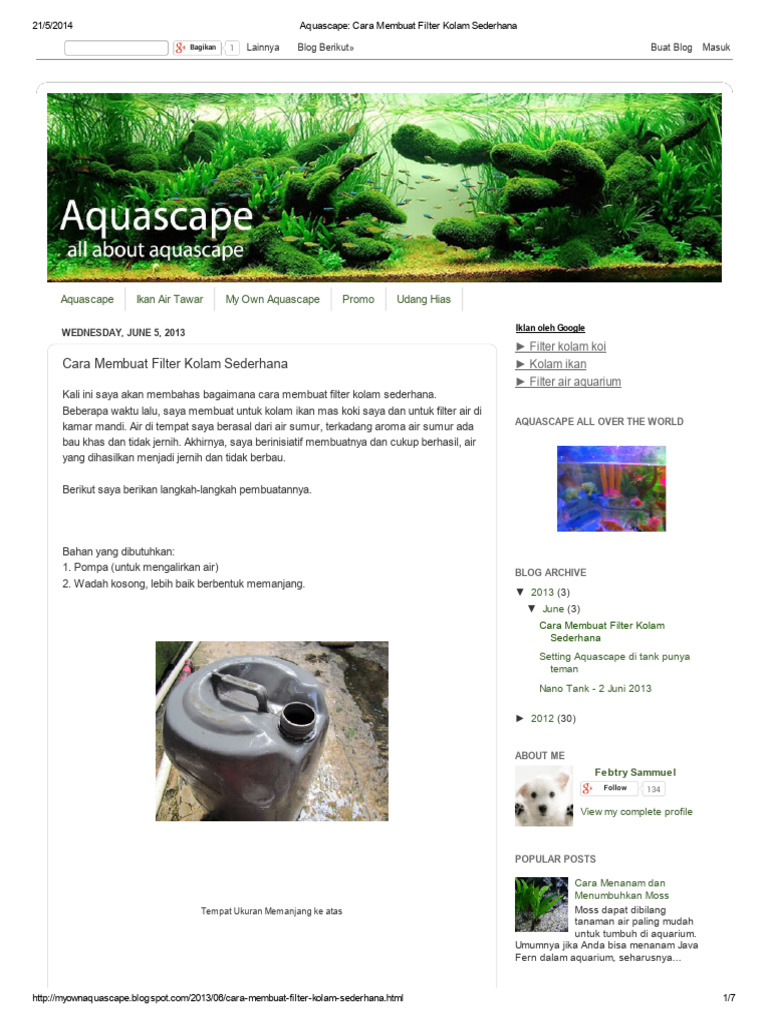 Aquascape - Cara Membuat Filter Kolam Sederhana | PDF | Aquatic Organisms | Fishkeeping