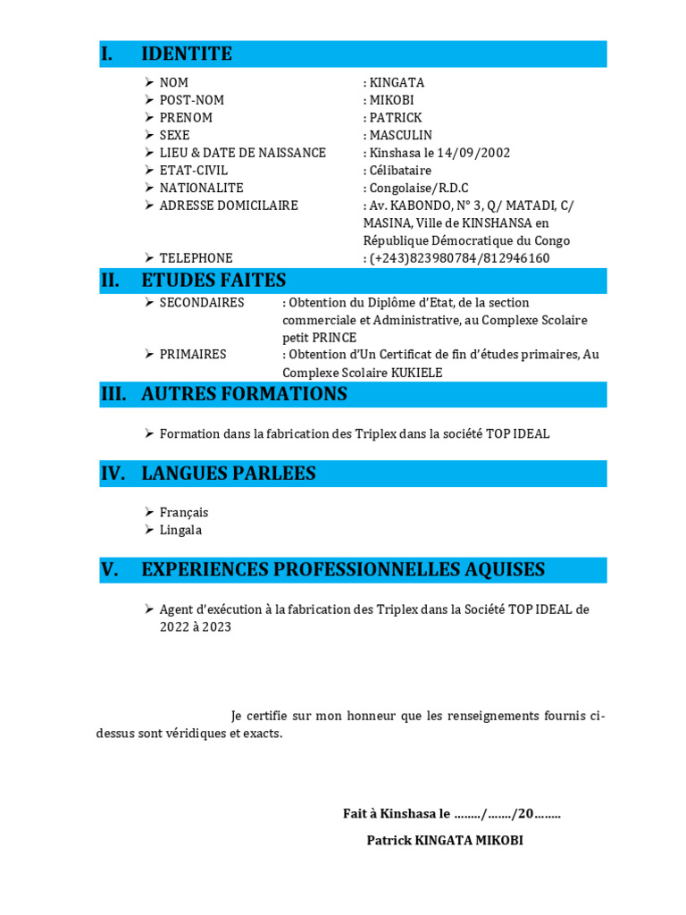 CV Patrick Kingata 2 | PDF