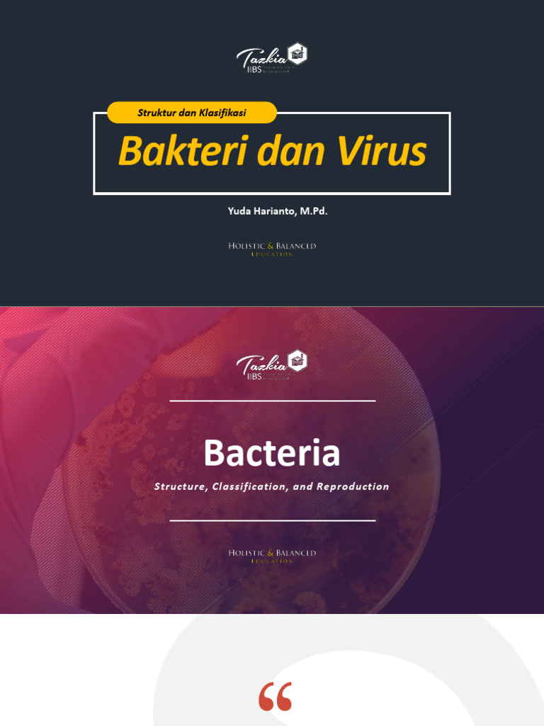 Bacteria and Viruses | PDF
