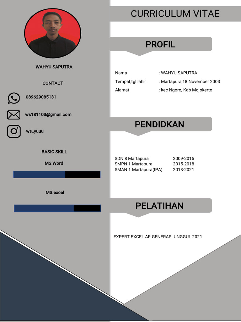 Curriculum Vitae: Profil | PDF