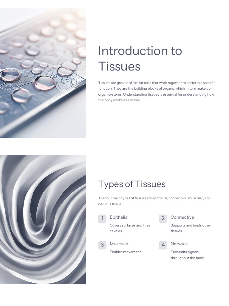 Introduction To Tissues | PDF