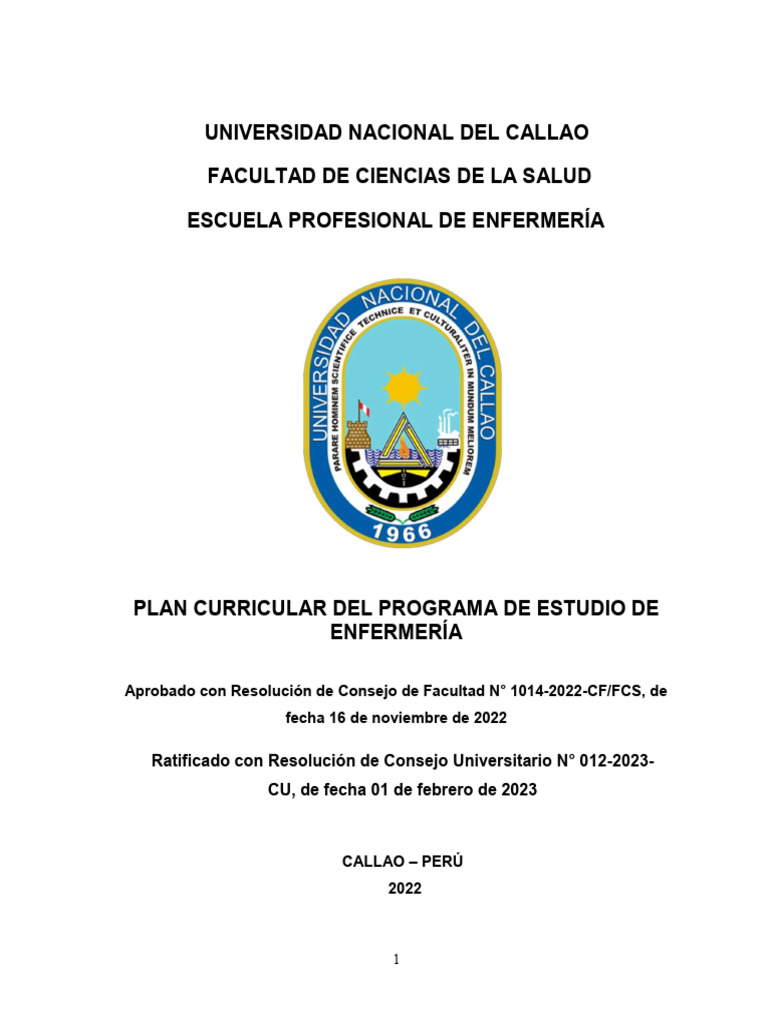 P05 - Plan Curricular Del Programa de Estudio de Enfermeria | PDF