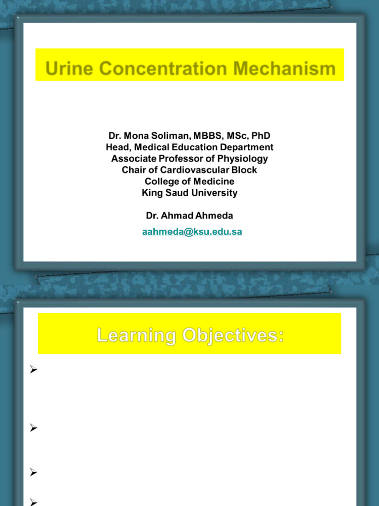 8-Urine Concentration and Dilution. | PDF | Urinary System | Kidney