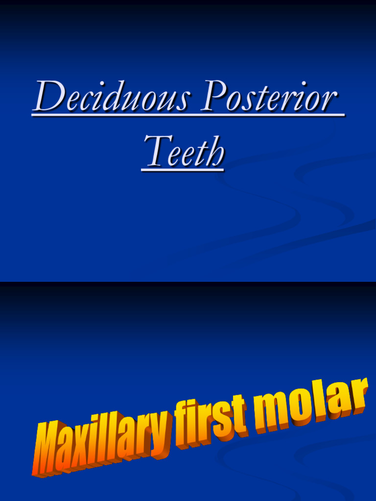 7 Deciduous Posterior Teeth Pdf