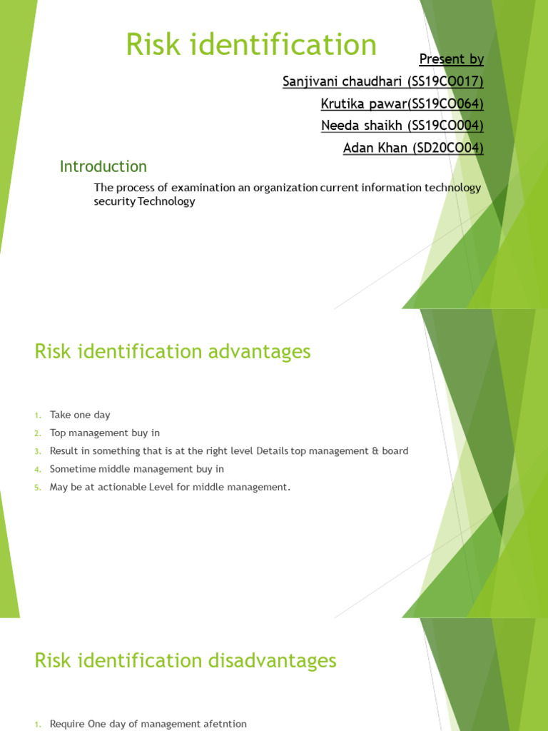 Risk Identification | PDF