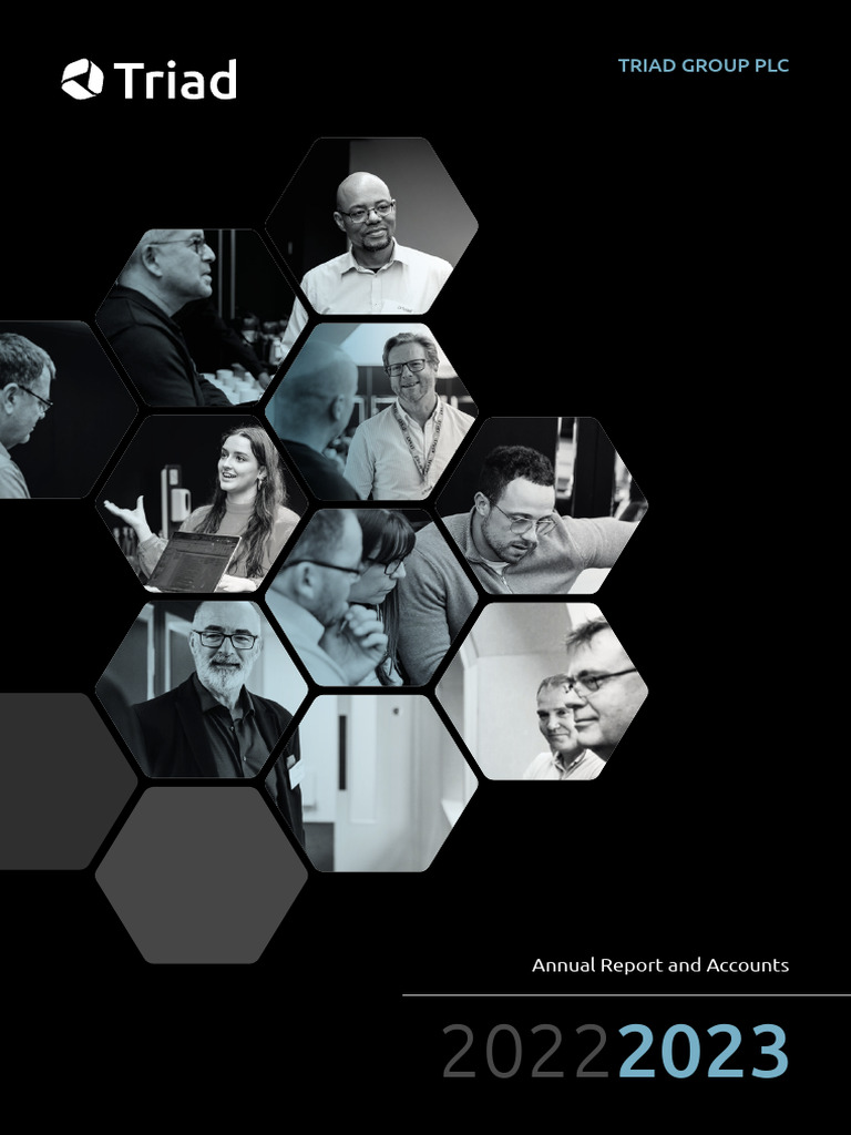 Triad Group PLC: Annual Report and Accounts | PDF