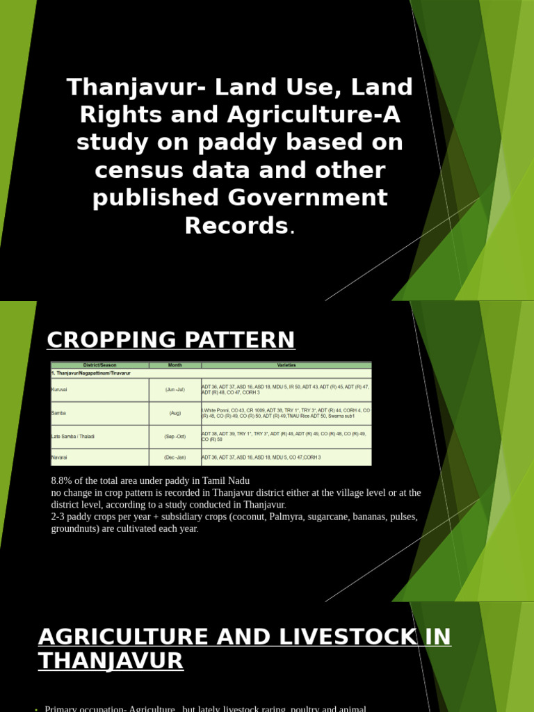 Socio Presentation Vig | PDF