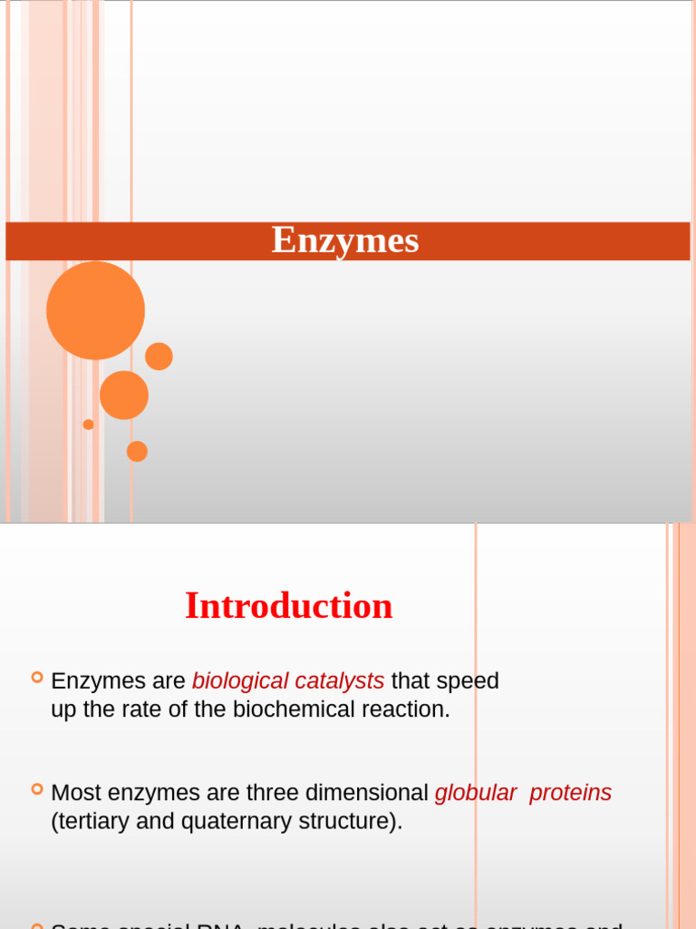 ENZYMES | PDF | Enzyme | Wellness