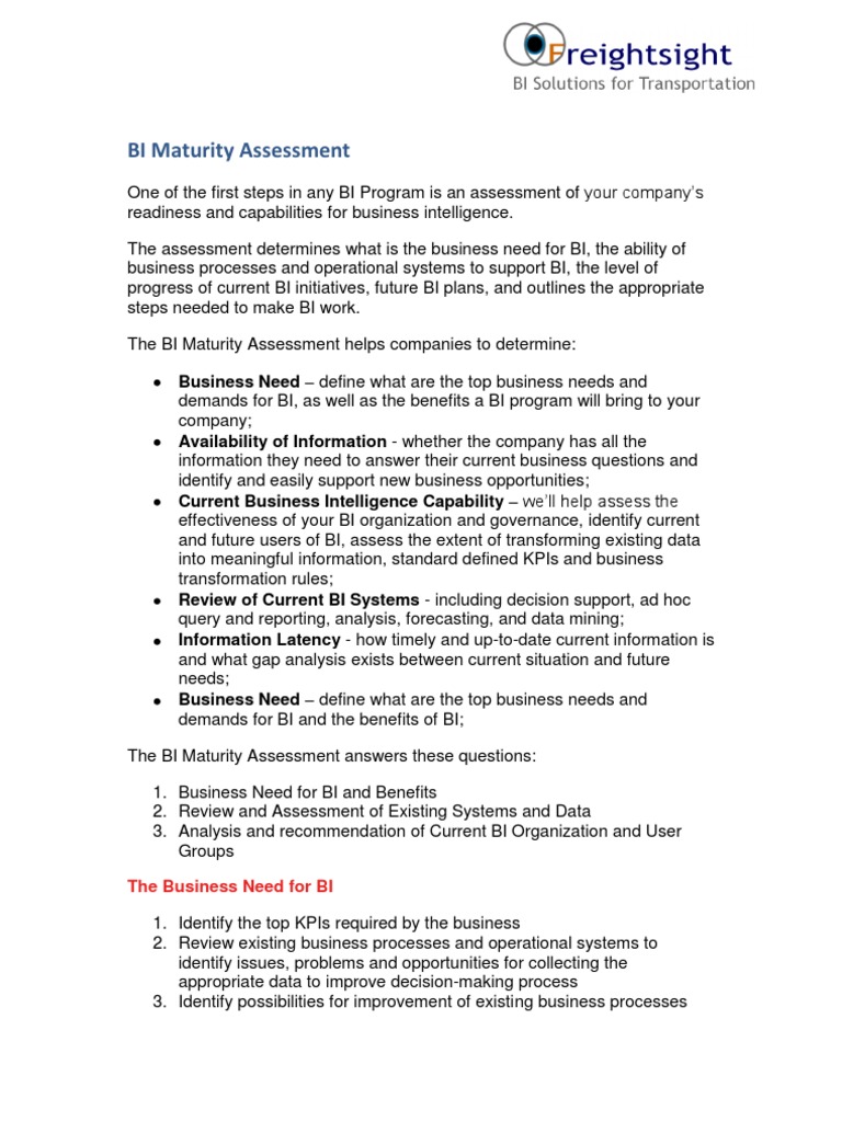 Maturity Assessment | PDF | Business Intelligence | Business Process