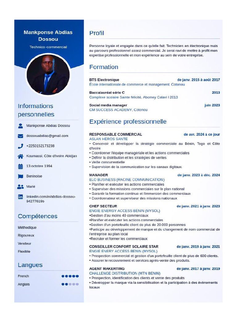 CV French 20.08 | PDF