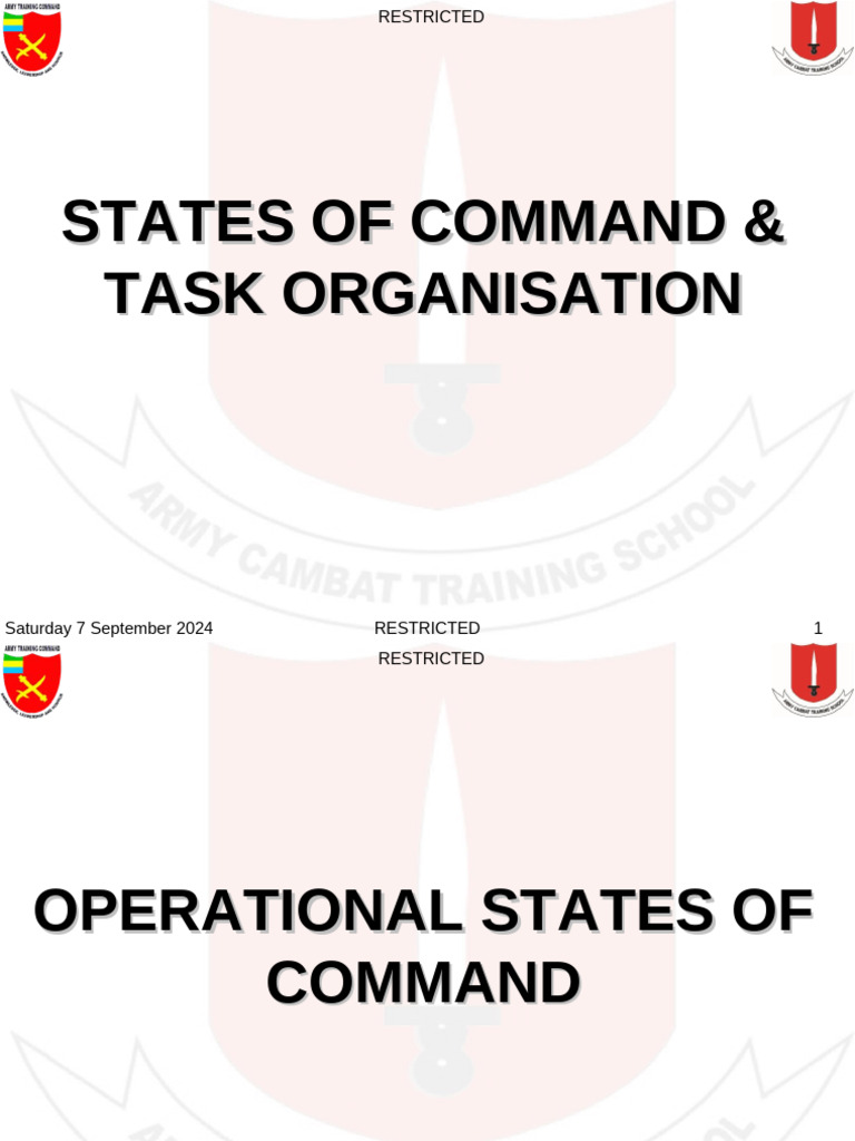 States of Comd & Task Org | PDF