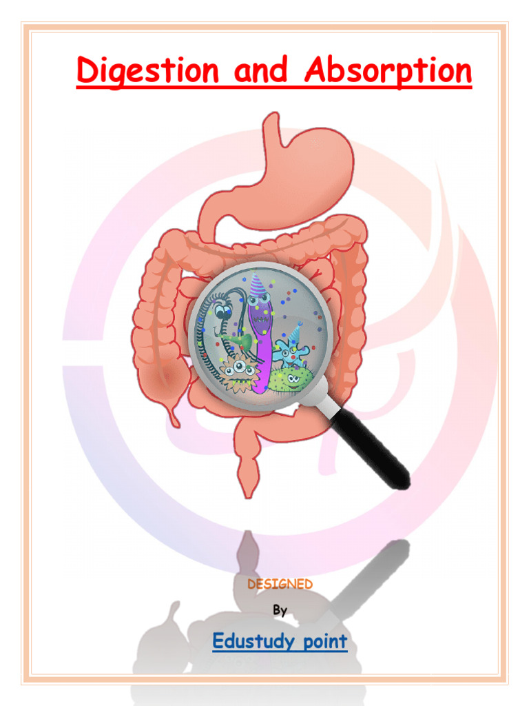 Class 11 Digestion and absorption | PDF