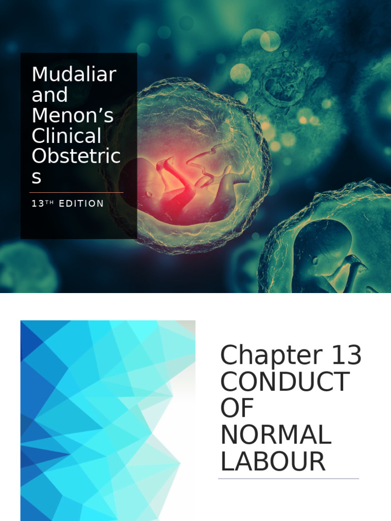 Chapter13 Sea | PDF | Childbirth | Self-Improvement