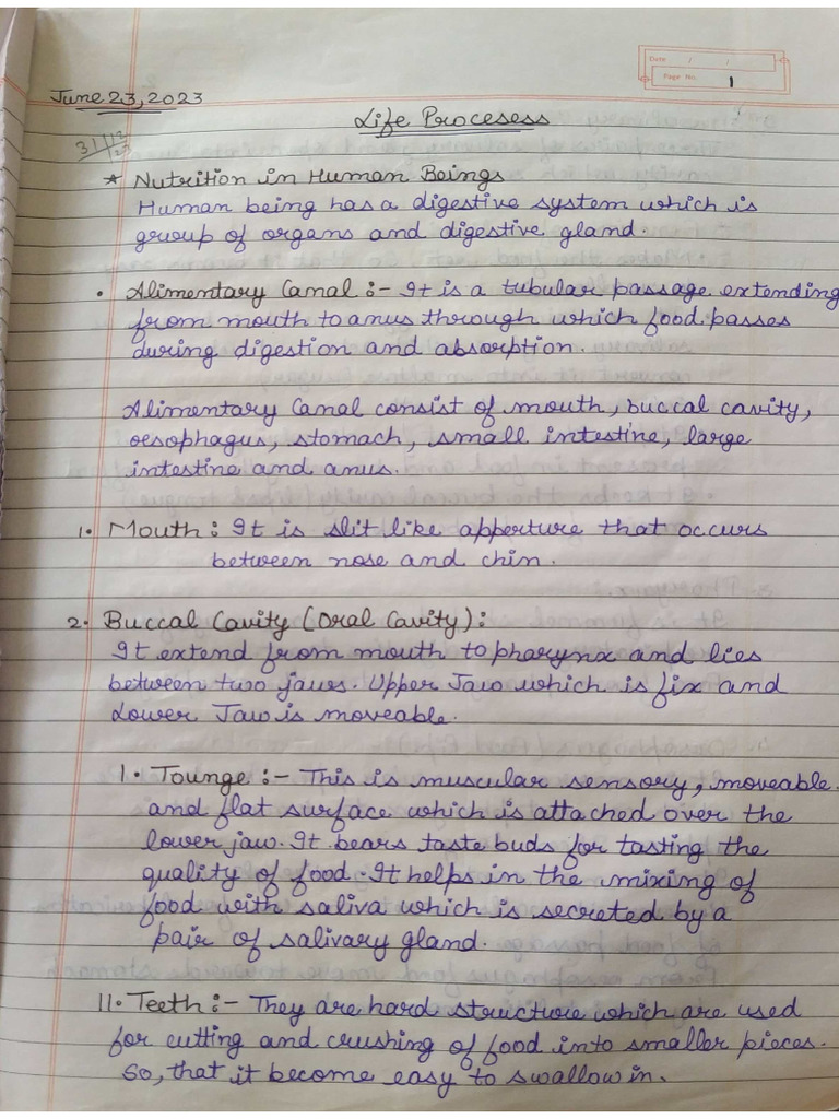 ch5 Life Processes | PDF