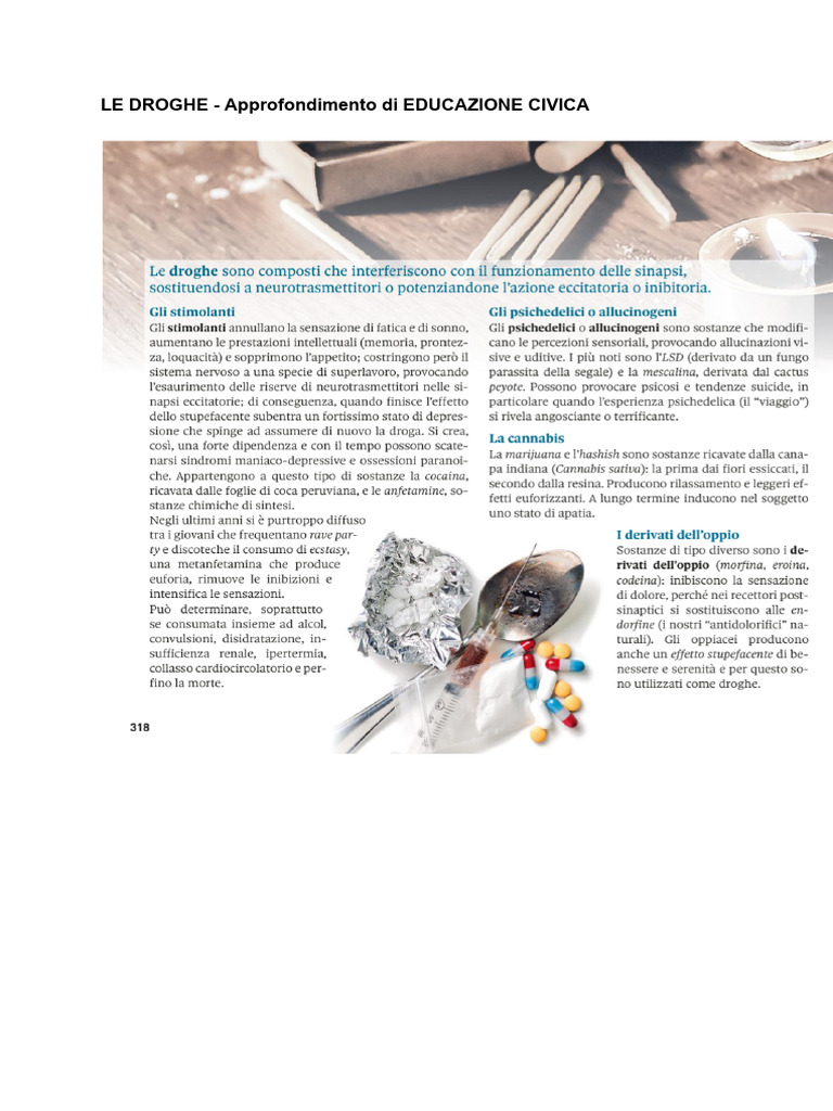 Le Droghe - Approfondimento Di Educazione Civica | PDF