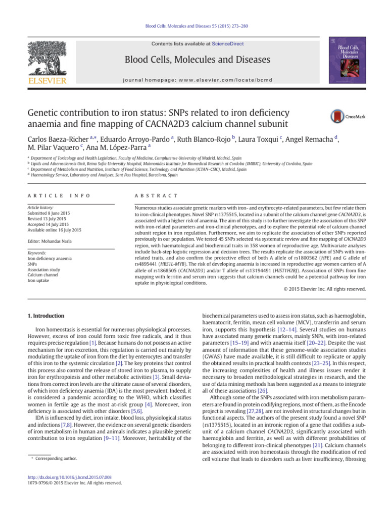 Calcium Channel SNP Iron Anemia | PDF